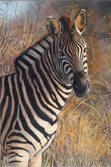 Ryan Perry - Wildlife Artist