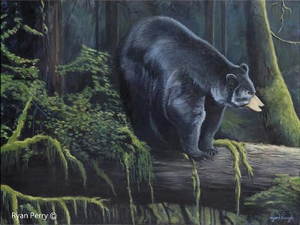 Ryan Perry - Wildlife Artist