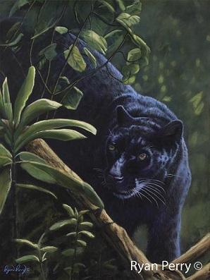Ryan Perry - Wildlife Artist