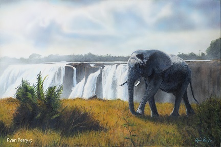 Ryan Perry - Wildlife Artist