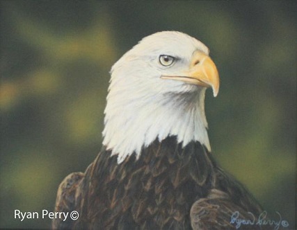 Ryan Perry - Wildlife Artist