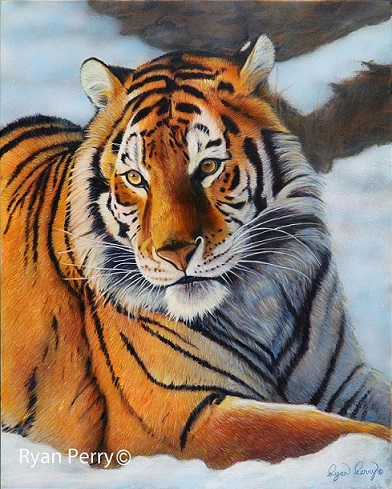 Ryan Perry - Wildlife Artist