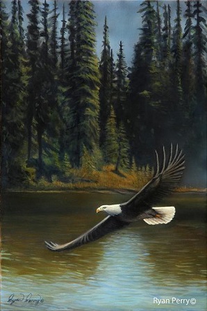 Ryan Perry - Wildlife Artist