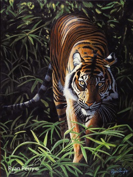 Ryan Perry - Wildlife Artist