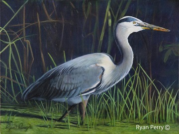 Ryan Perry - Wildlife Artist