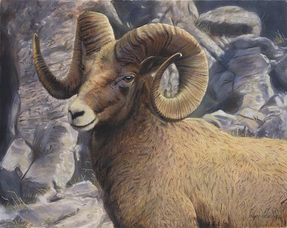 Ryan Perry - Wildlife Artist