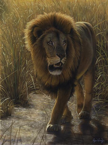 Ryan Perry - Wildlife Artist