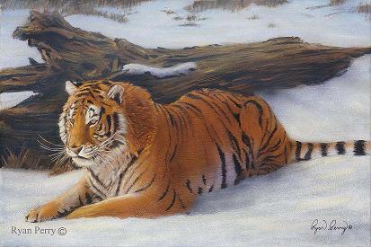 Ryan Perry - Wildlife Artist