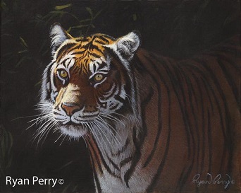 Ryan Perry - Wildlife Artist