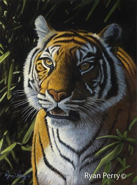 Ryan Perry - Wildlife Artist
