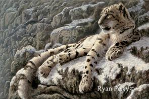 Ryan Perry - Wildlife Artist