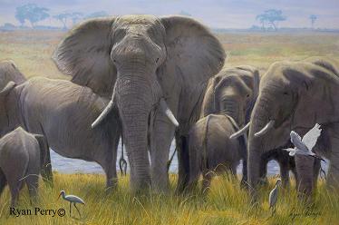 Ryan Perry - Wildlife Artist