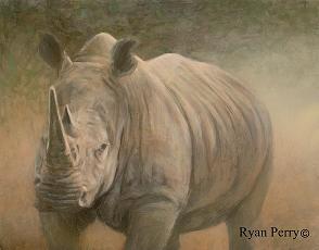 Ryan Perry - Wildlife Artist