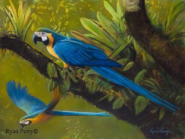 Ryan Perry - Wildlife Artist