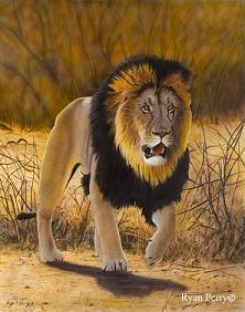 Ryan Perry - Wildlife Artist