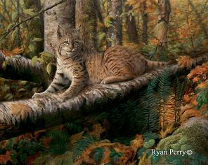 Ryan Perry - Wildlife Artist