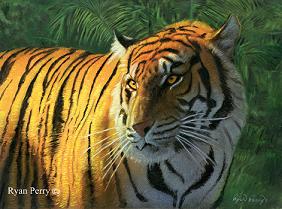 Ryan Perry - Wildlife Artist