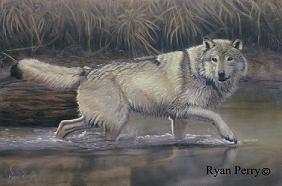 Ryan Perry - Wildlife Artist