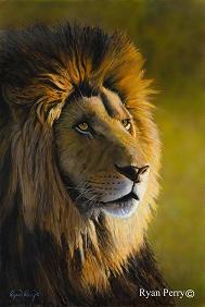 Ryan Perry - Wildlife Artist