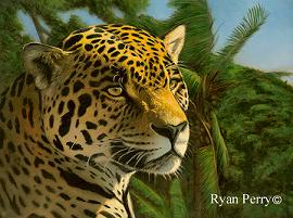 Ryan Perry - Wildlife Artist