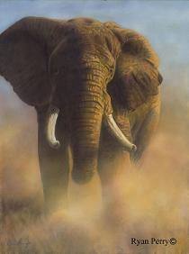 Ryan Perry - Wildlife Artist