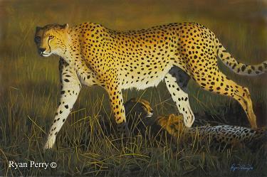 Ryan Perry - Wildlife Artist