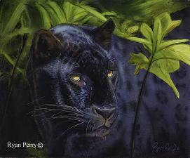 Ryan Perry - Wildlife Artist